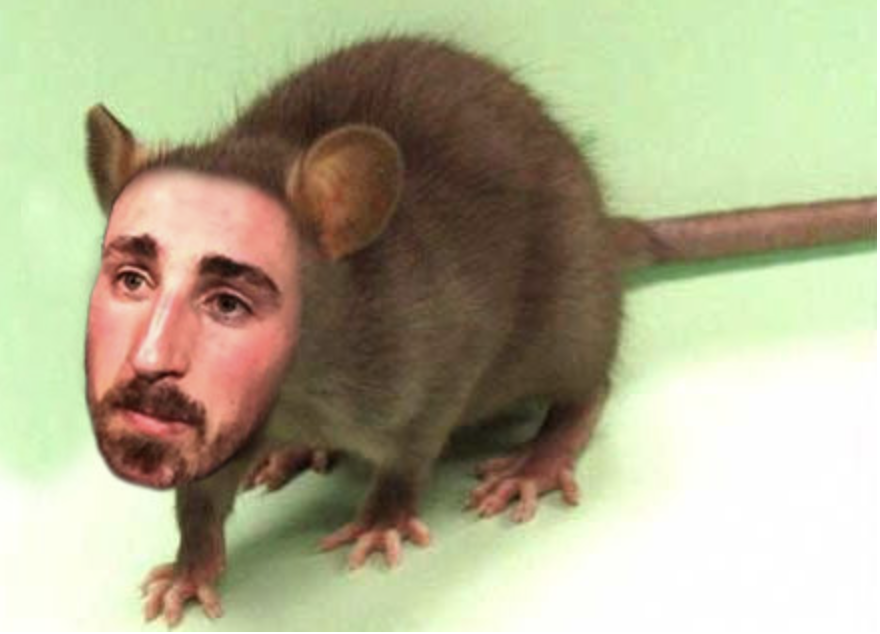 Hockey30 | Le RAT ne sait plus comment PATINER