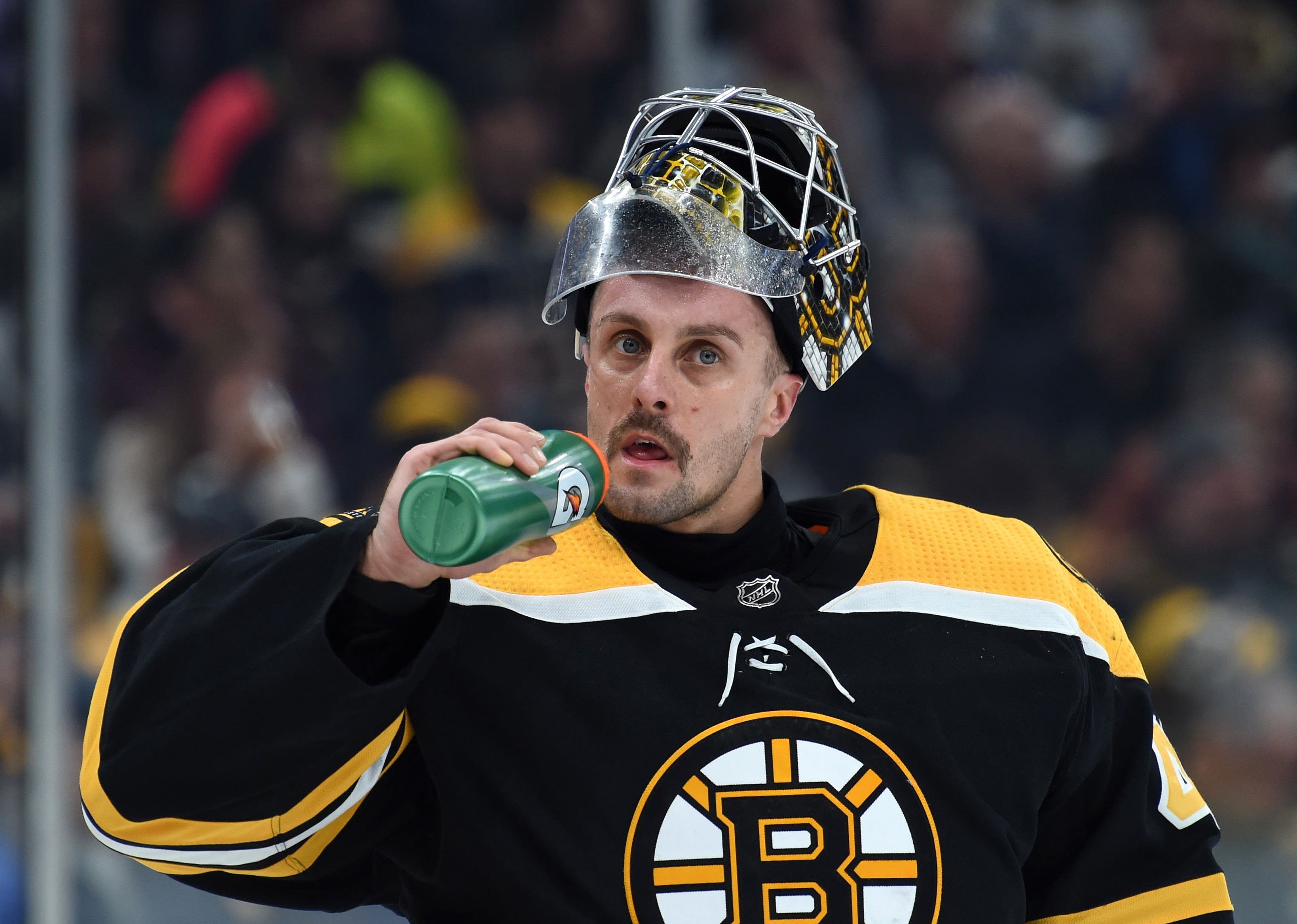 Hockey30 | Jaroslav Halak de retour? RDS y croit DUR comme FER...